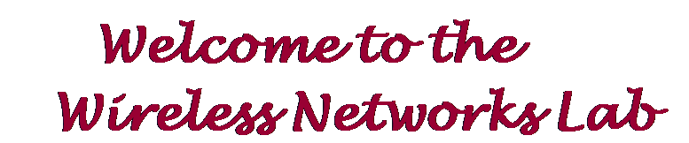 Cornell's Wireless Networks Laboratory